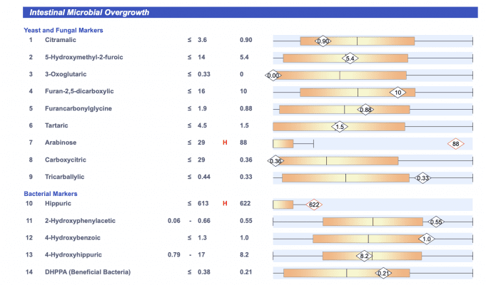 Is Organic Acids Testing (OAT) Right For You? – Brisbane Naturopath